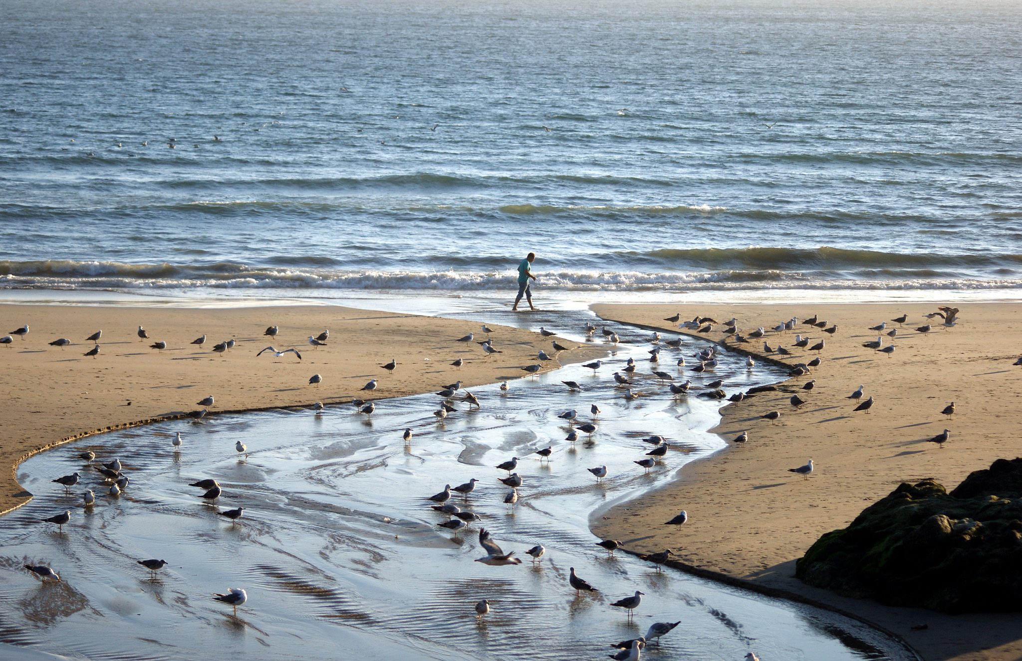 10 of the Best Tourist Attractions in Porto